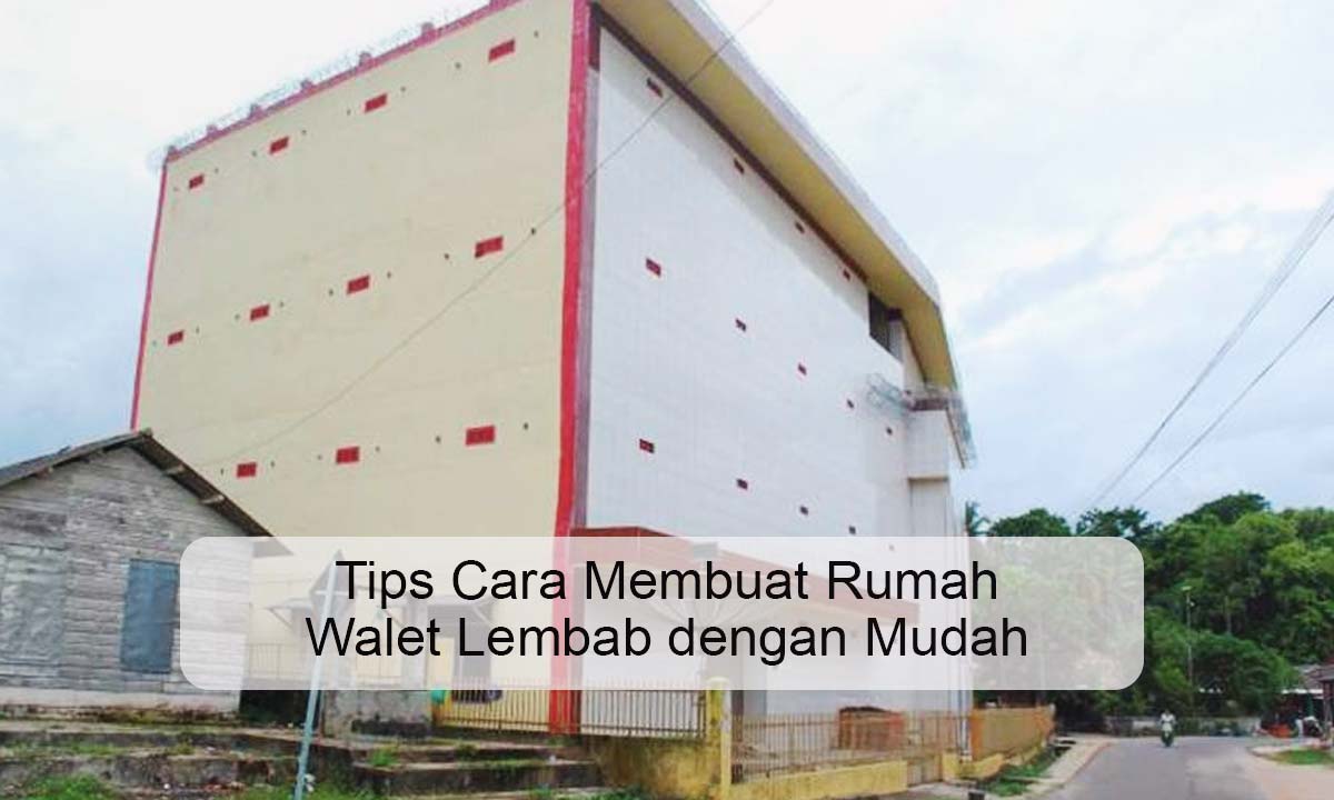 Tips Cara Membuat Rumah Walet Lembab dengan Mudah
