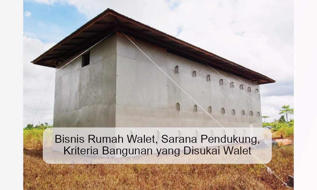 Bisnis Rumah Walet, Sarana Pendukung, Kriteria Bangunan yang Disukai Walet