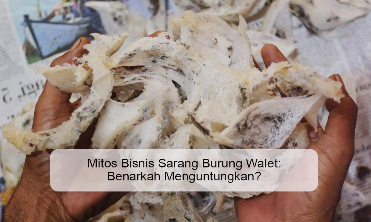 Mitos Bisnis Sarang Burung Walet: Benarkah Menguntungkan?