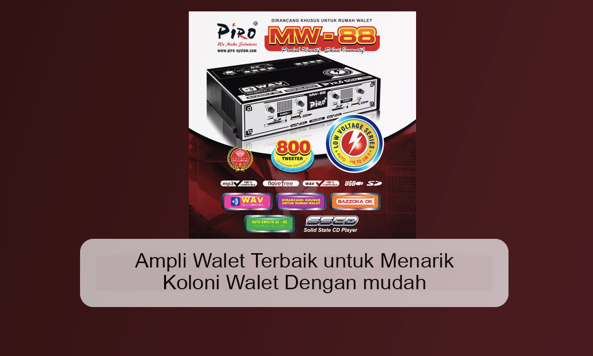 Ampli Walet Terbaik untuk Menarik Koloni Walet Dengan mudah