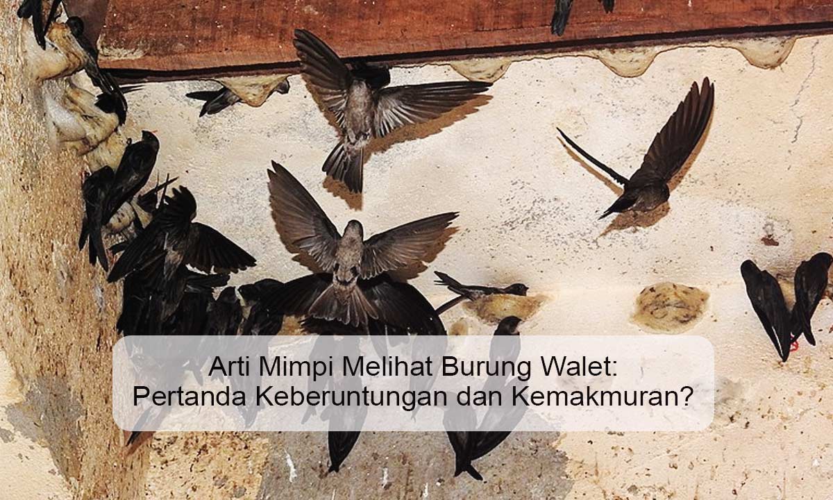 Arti Mimpi Melihat Burung Walet: Pertanda Keberuntungan dan Kemakmuran?