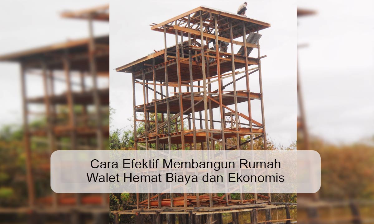 Cara Efektif Membangun Rumah Walet Hemat Biaya dan Ekonomis