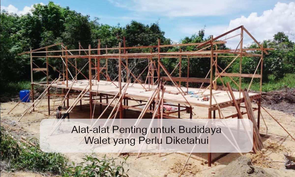Alat-alat Penting untuk Budidaya Walet yang Perlu Diketahui