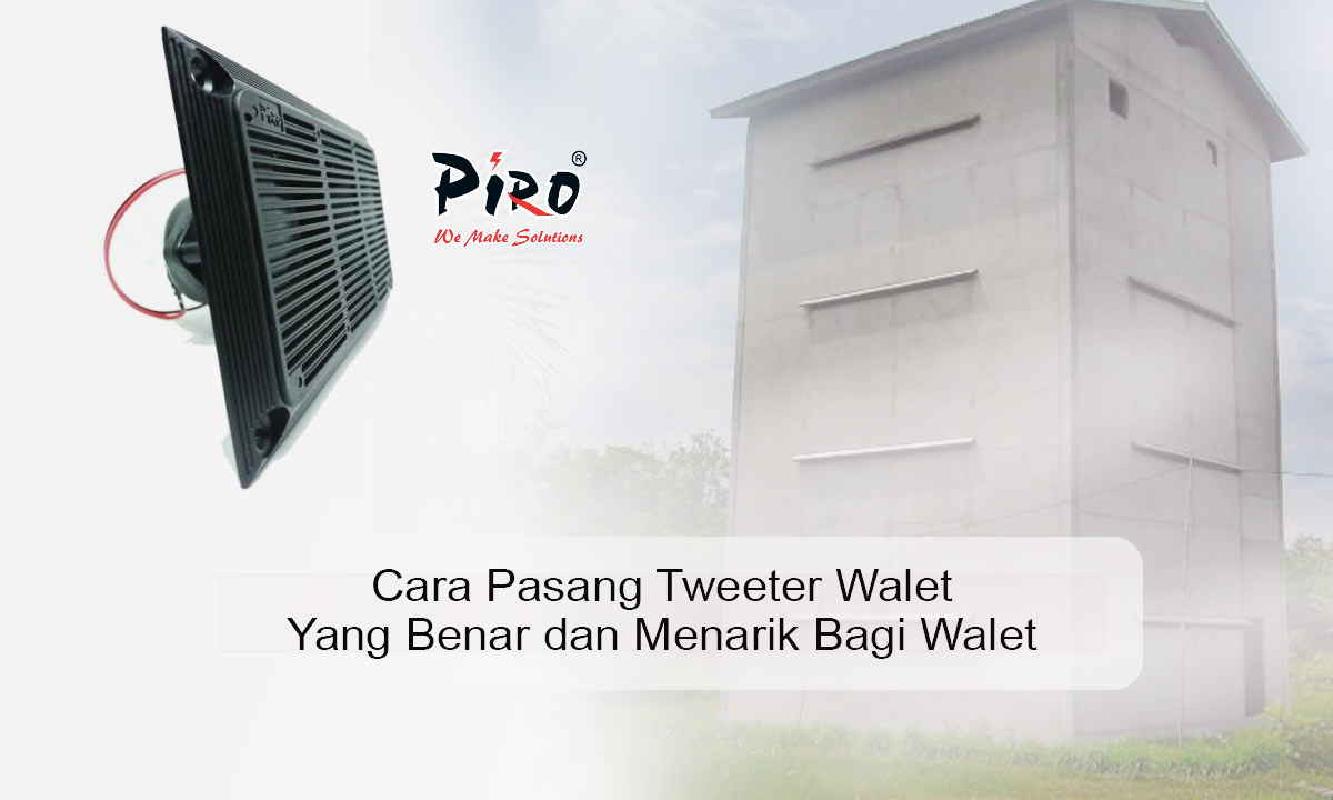 Cara Pasang Tweeter Walet Yang Benar dan Menarik Bagi Walet