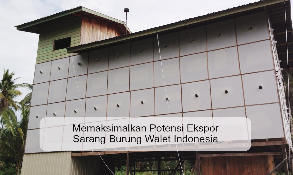 Memaksimalkan Potensi Ekspor Sarang Burung Walet Indonesia