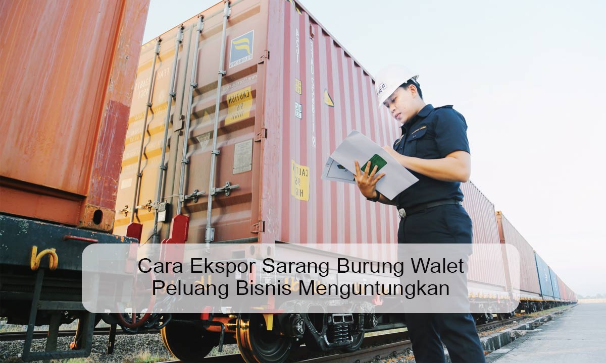 Cara Ekspor Sarang Burung Walet Peluang Bisnis Menguntungkan